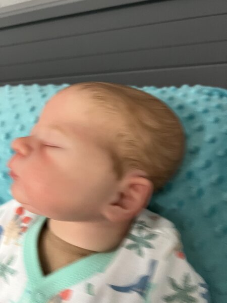 Melissa Stamps, Reborn Dolls For Sale | Melissa Stamps