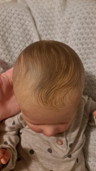 Luisa by Randi Perry from Shyann Still on Reborns