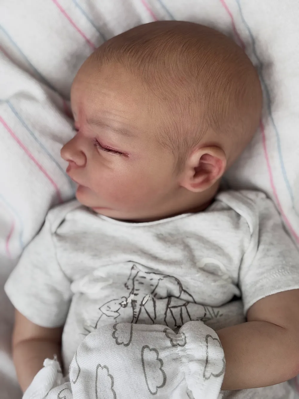 Greyson James by Stacy Gibson from Beloved Baby Reborn Nursery on Reborns