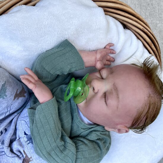 Tendernest Reborn Nursery - Reborn Baby Dolls - Reborns.com