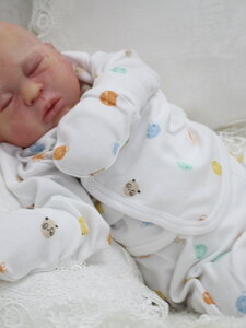 Reborn Dolls and Lifelike Baby Dolls