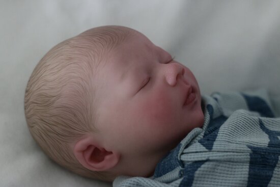 by Ryelynn’s Reborns from Amandas Pandas on Reborns