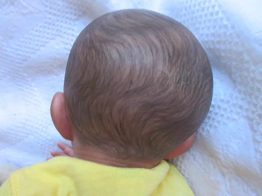 Evyn pre-owned prototype reborn doll for sale by Shaylen Maxwell ...