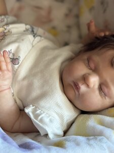 Reborn Dolls and Lifelike Baby Dolls