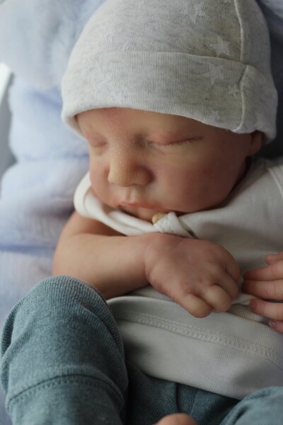 Levi by Imani Hiller from Lilac & Rose Creations on Reborns