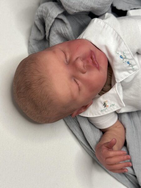 Twin B by Bethany Bang from Beantown’s Nursery on Reborns