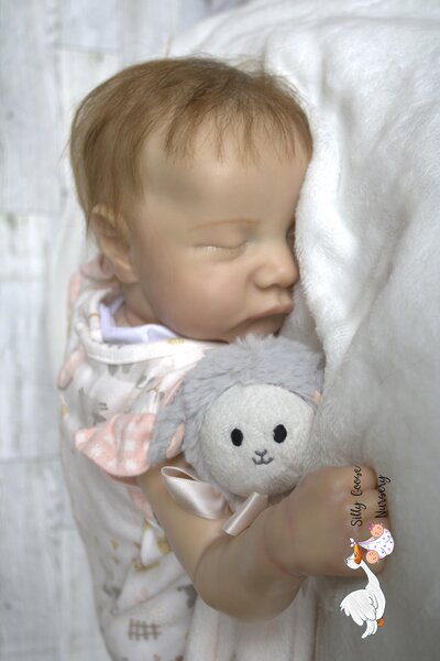 Levi 2 by Debbie Waterman from Silly Goose Nursery on Reborns