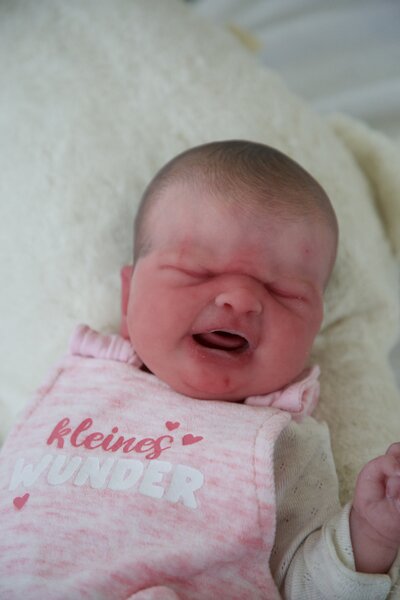 Babies First Cry Silicone Reborn Baby Doll by Sabrina Hergarten ...