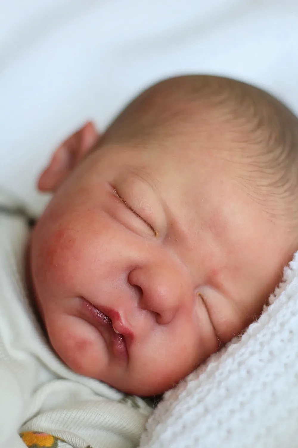 Sprout Rare reborn doll by Carla Gentile | Carla's Corner