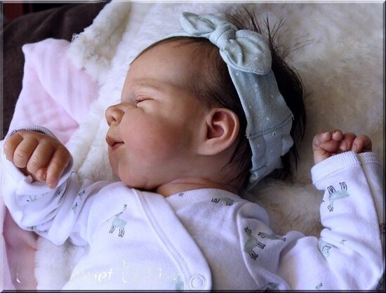 Bluebonnet Babies Reborn Nursery - Reborn Baby Dolls - Reborns.com