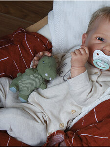 Bluebonnet Babies Reborn Nursery - Reborns and Reborn Baby Dolls