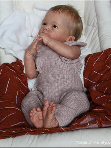 Bluebonnet Babies Reborn Nursery - Reborns and Reborn Baby Dolls