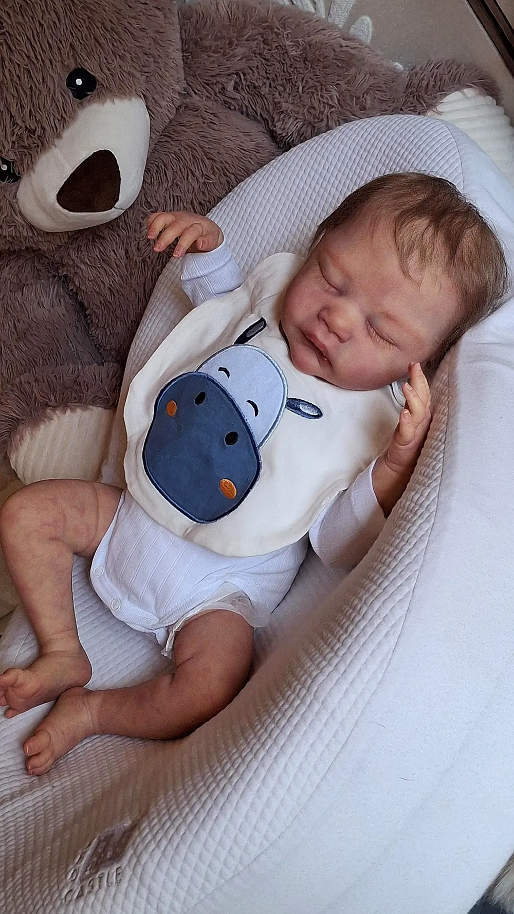by Jennifer KOLACZ from Reborn Tendresse De Jenny on Reborns