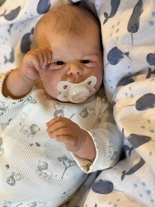 Turner Reborn Studios - Reborns and Reborn Baby Dolls