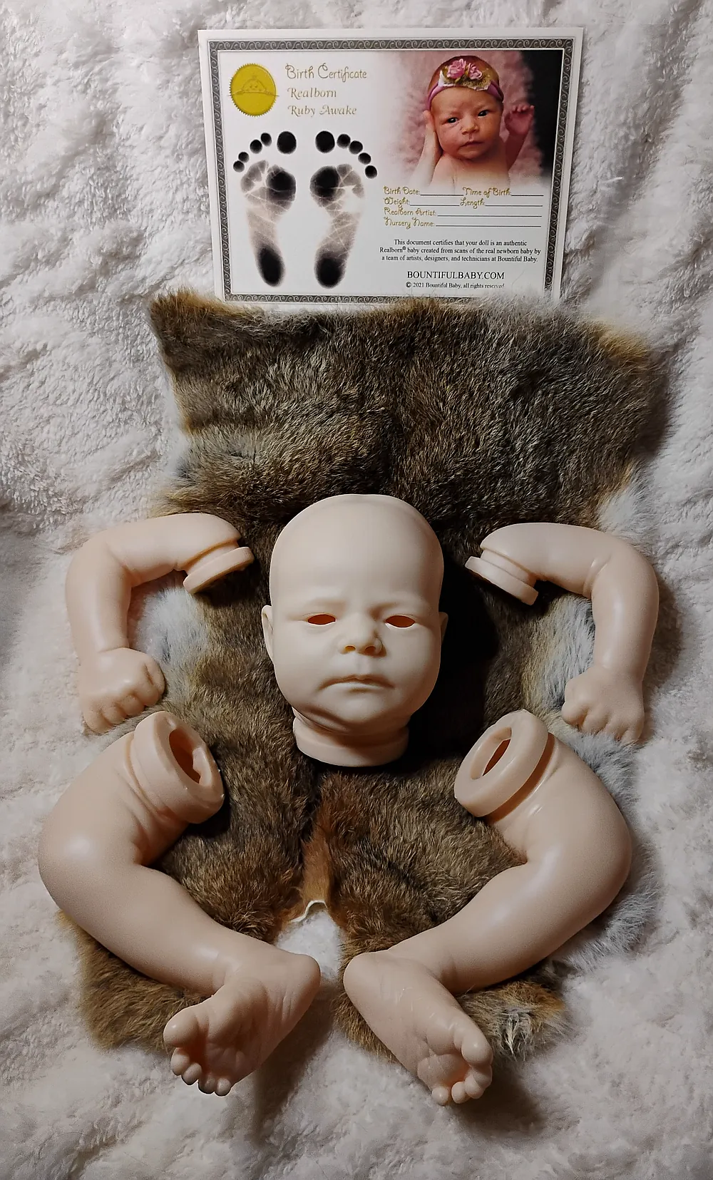 Ruby Awake Kit 3 by Amanda Schwarzman from Wawa's Angels Nursery on Reborns