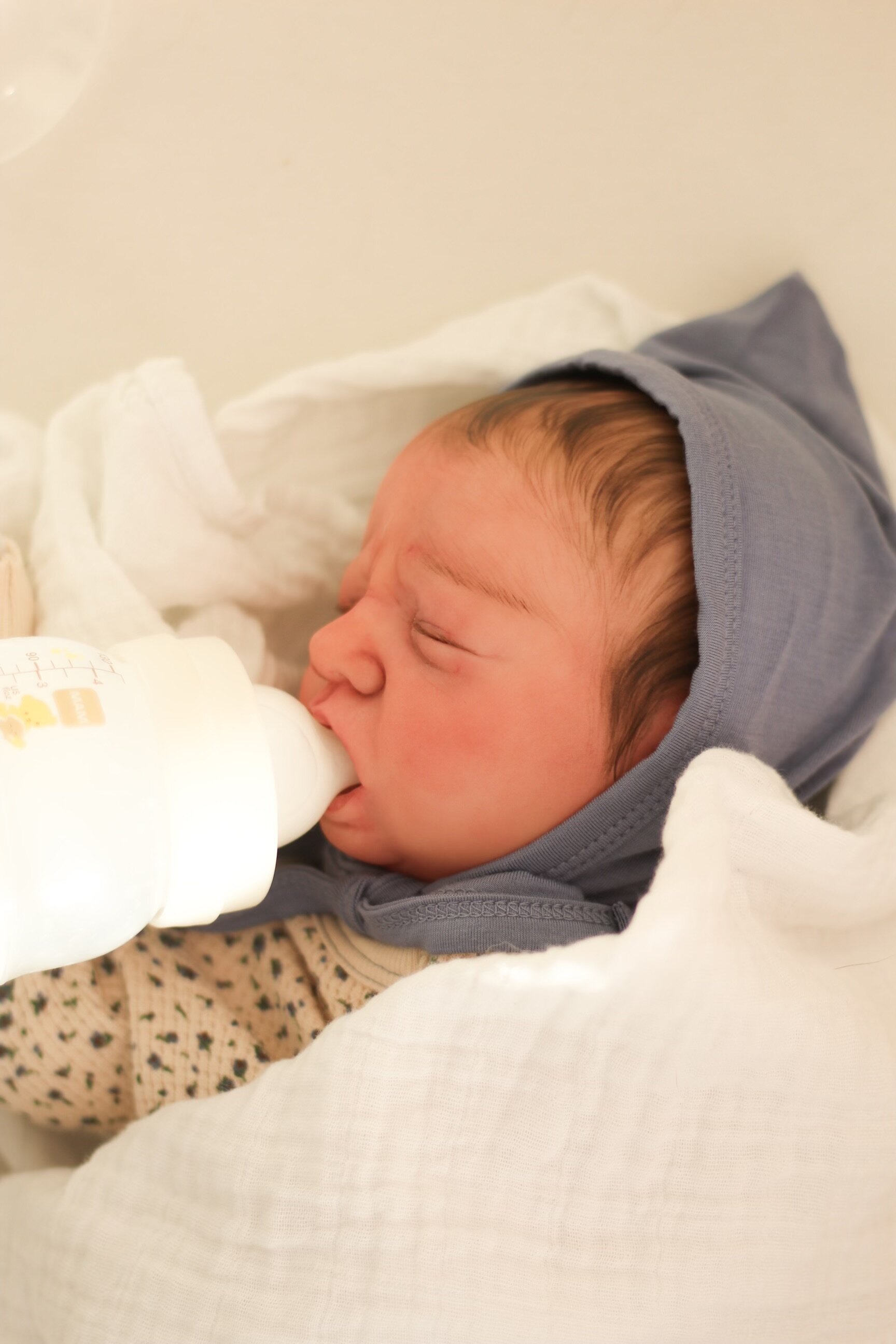 Blake by Pumpkin Sparkles Babies from Lambys Nursery on Reborns
