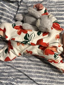 Kee kee’s cuties - Reborns and Reborn Baby Dolls