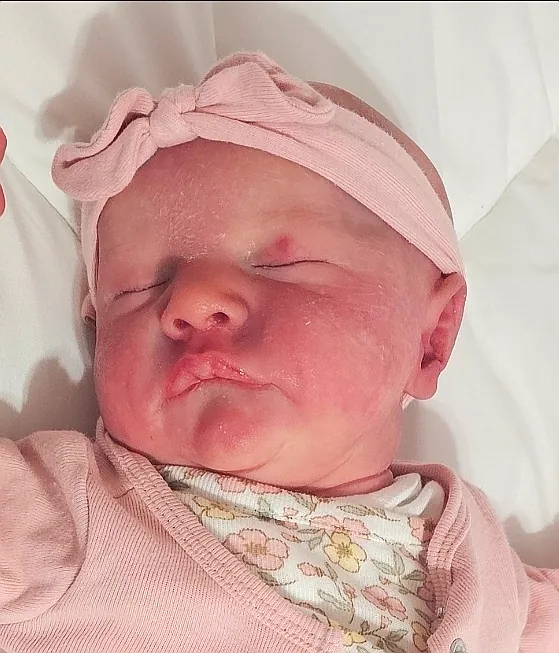 Levi Pre-owned Reborn Baby Doll by Mallory Braswell | Mandy's Babies