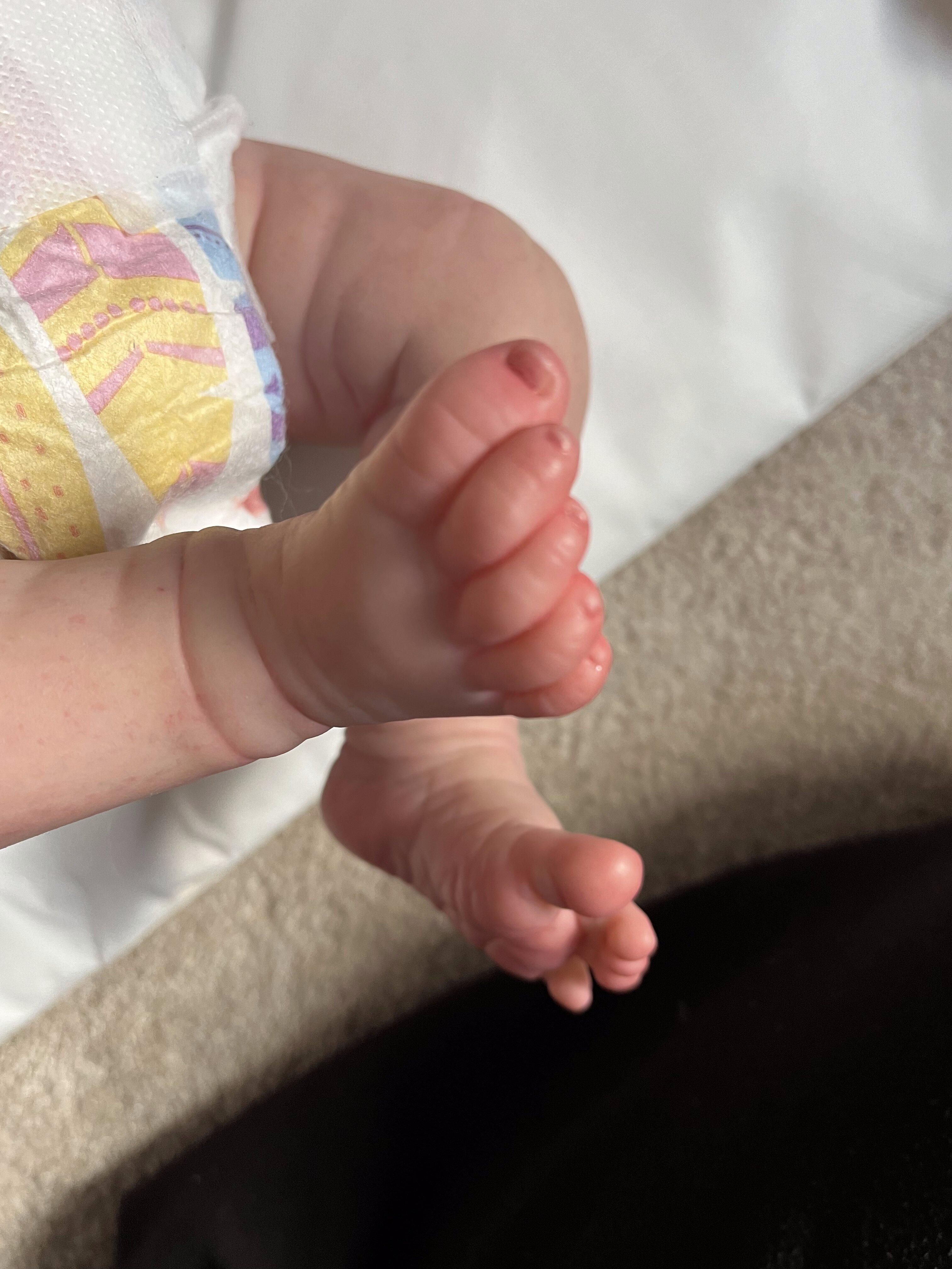 Zuri Pre-owned Reborn Baby Doll by Pixie Dixie Dolls | Wee Nursery