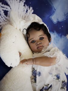 Reborn Dolls and Lifelike Baby Dolls