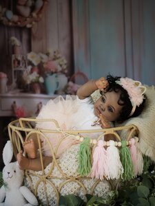 Reborn Dolls and Lifelike Baby Dolls