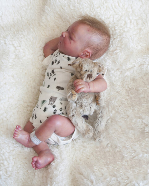 Amy Lynn Colt, Reborn Dolls For Sale | Baby Harlow's Nursery