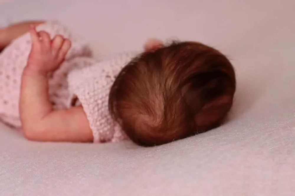 Quinlynn Pre-owned Reborn Baby Doll by Daniela Ardelean | Le Reborn Dei ...