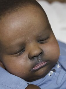 Reborn Dolls and Lifelike Baby Dolls
