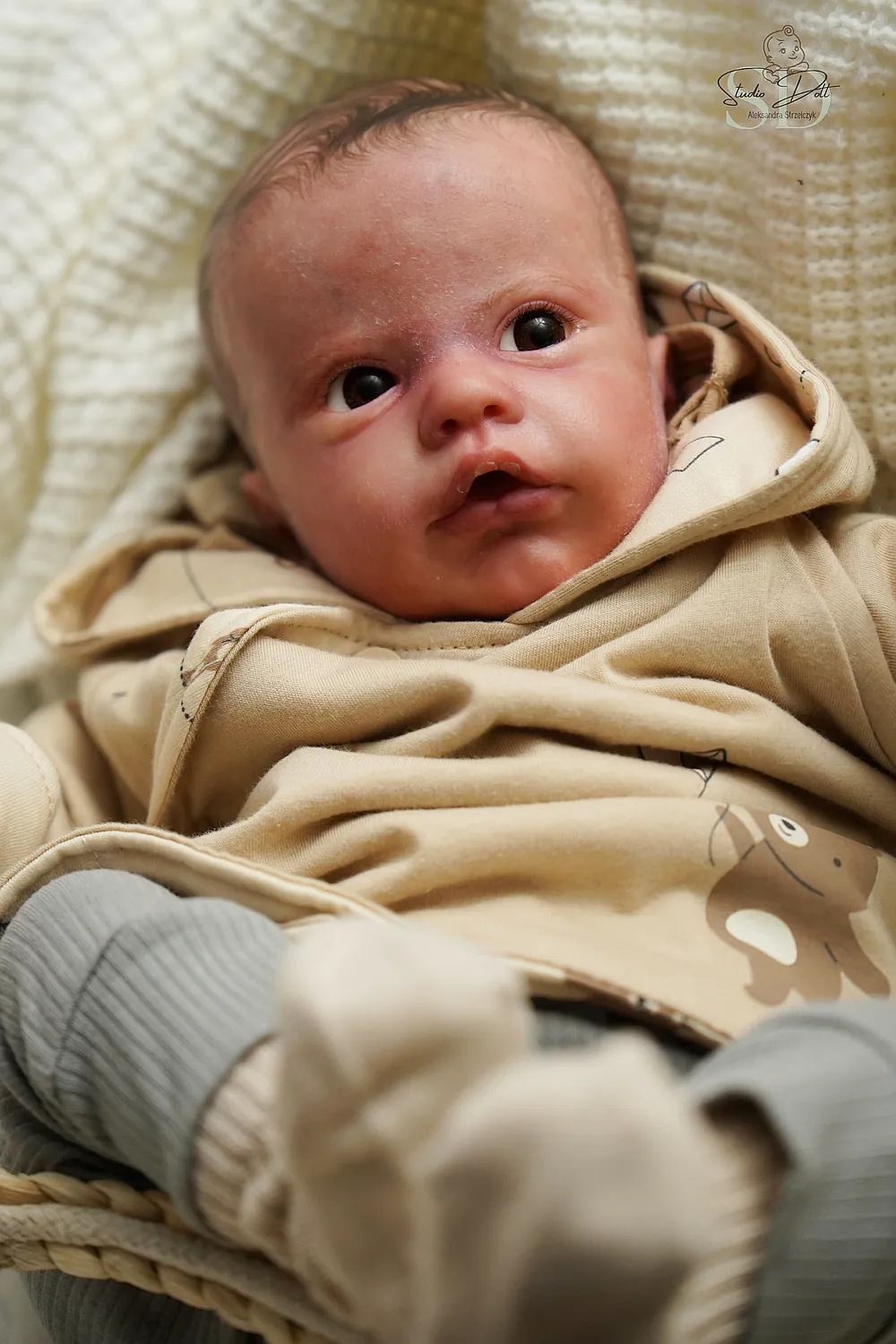 Primrose reborn doll for sale by Aleksandra Strzelczyk | Studio-Doll