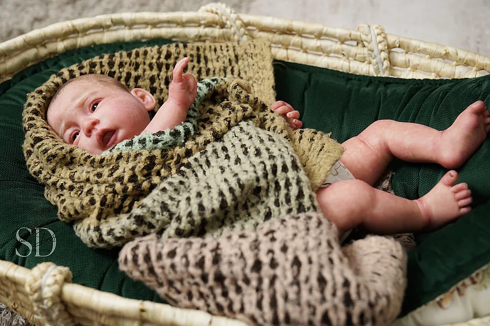 Belgin reborn doll for sale by Aleksandra Strzelczyk | Studio-Doll