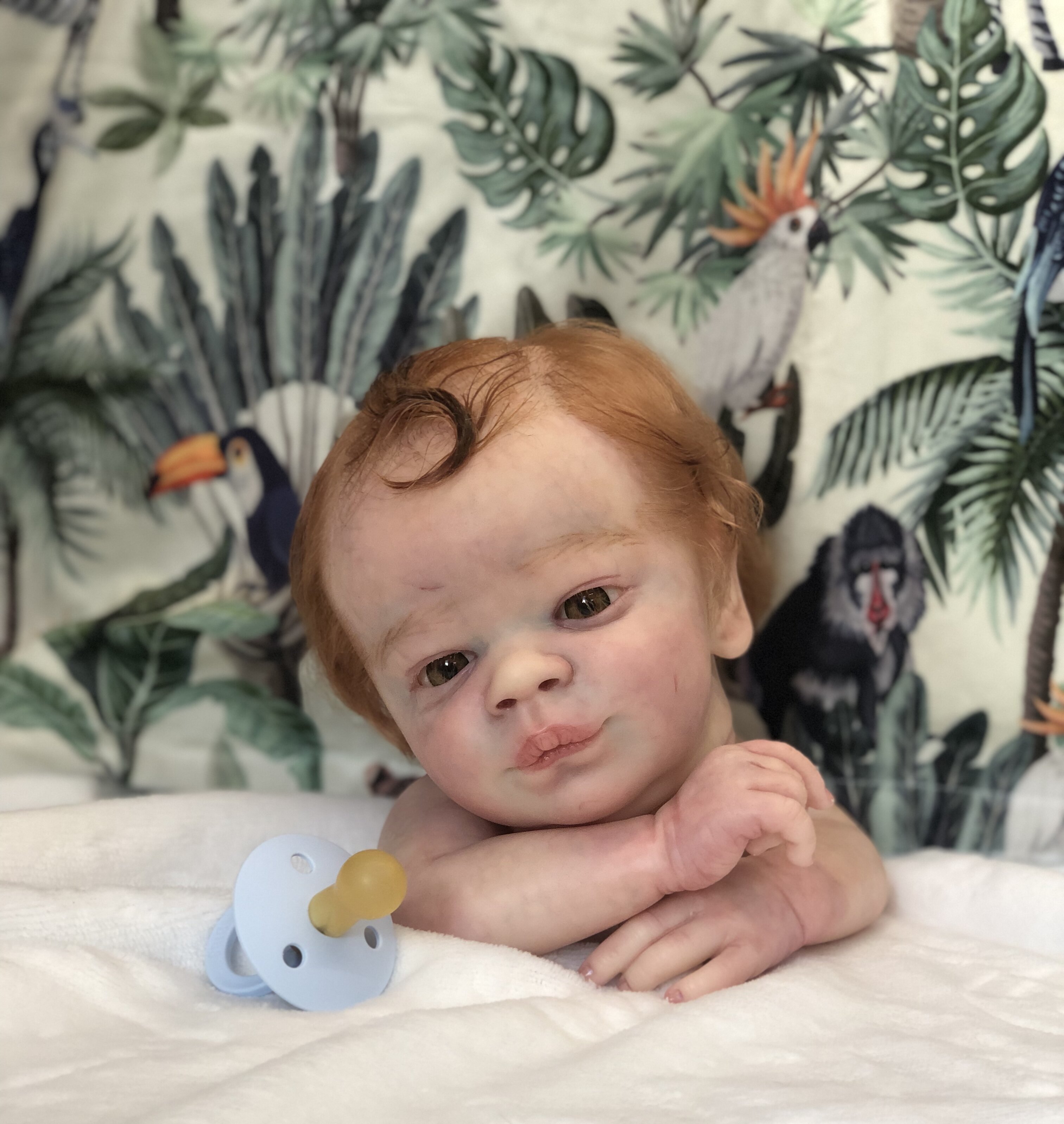 Kipling by Renee Klein from Renee's Ragtime Dolls on Reborns