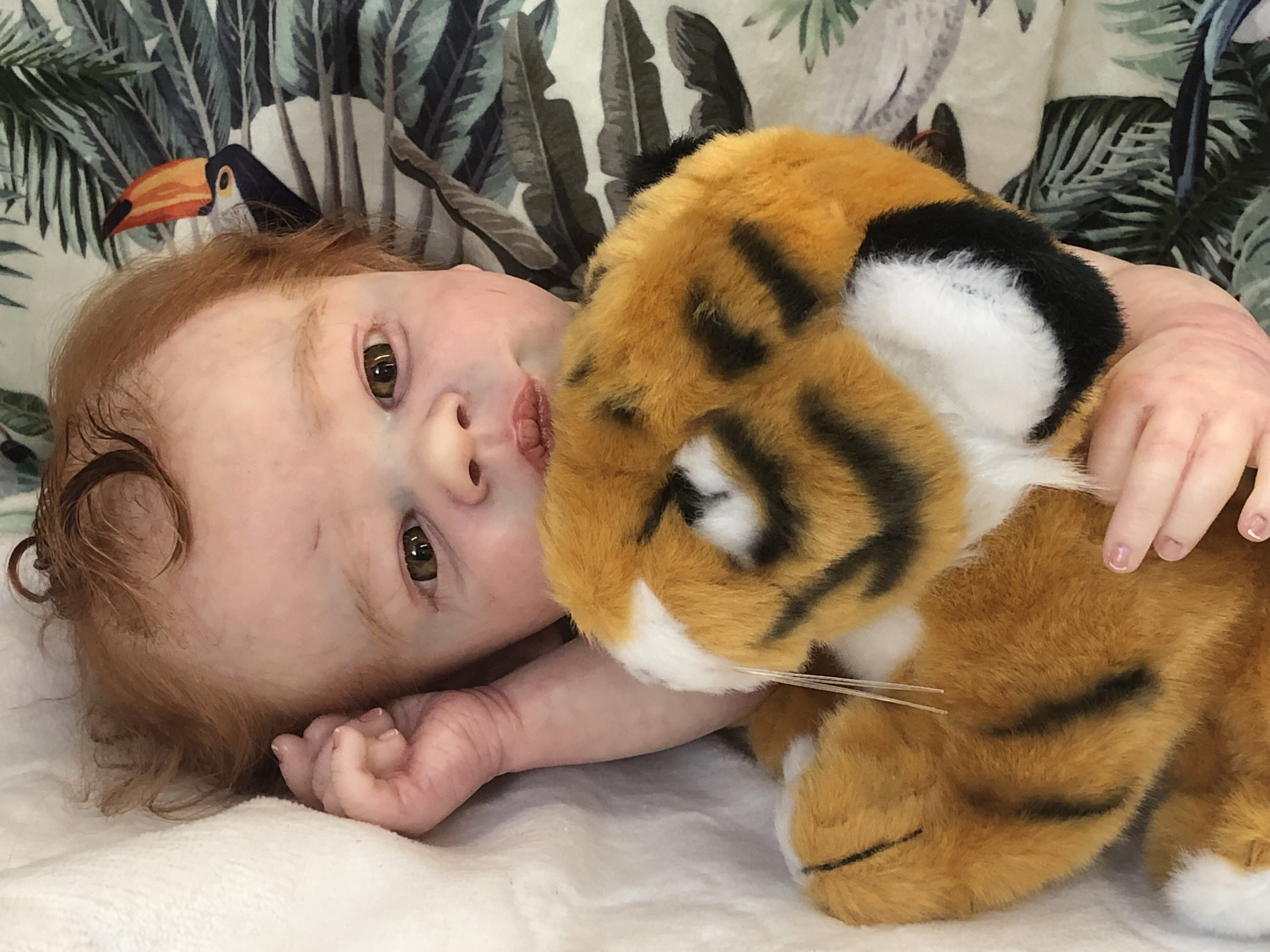 Kipling by Renee Klein from Renee's Ragtime Dolls on Reborns