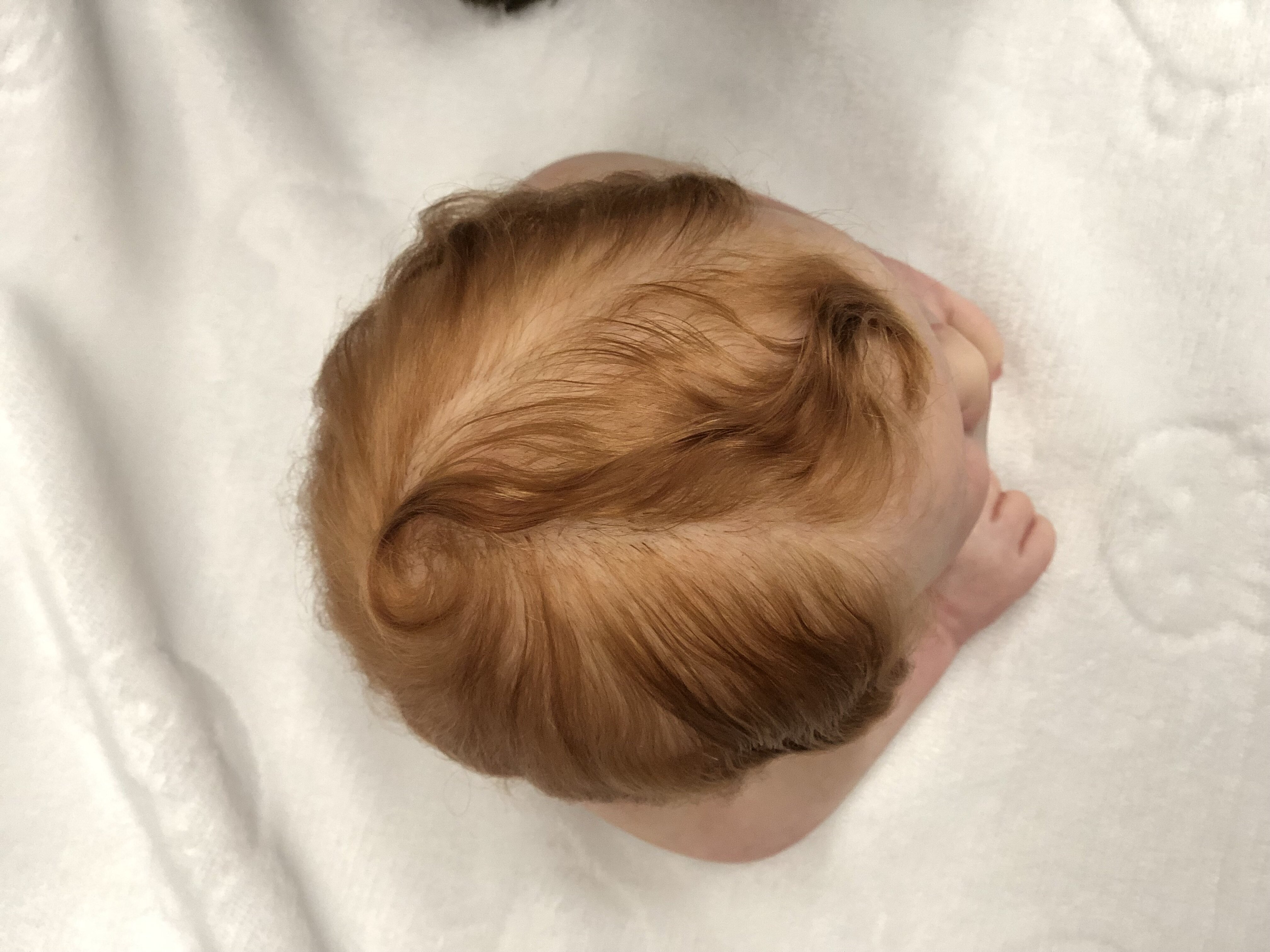 Kipling by Renee Klein from Renee's Ragtime Dolls on Reborns