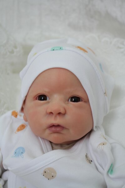 Chloe by Darwen Lister from Arty Darwen's Dolls on Reborns