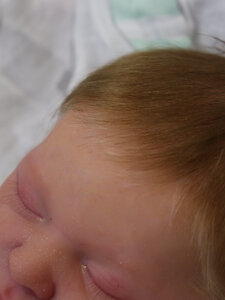 Little Mouse Nursery - Reborns and Reborn Baby Dolls