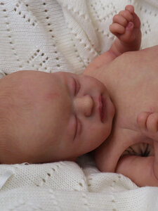 Little Mouse Nursery - Reborns and Reborn Baby Dolls