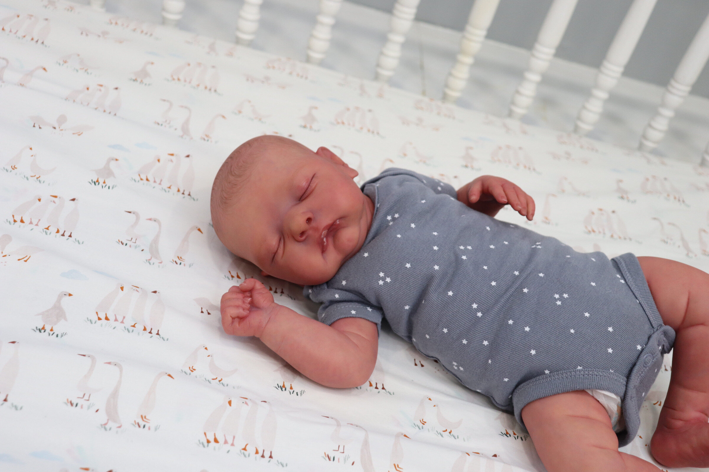 Wilby by Kelli Maple from Little Mouse Nursery on Reborns