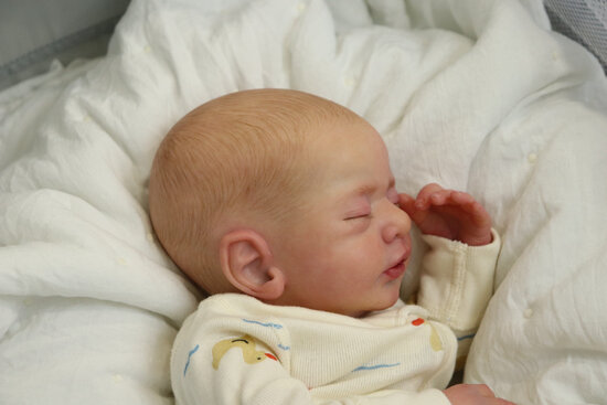 Little Mouse Nursery - Reborn Baby Dolls - Reborns.com