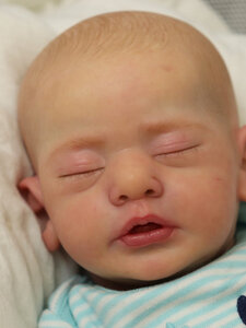 Little Mouse Nursery - Reborns and Reborn Baby Dolls