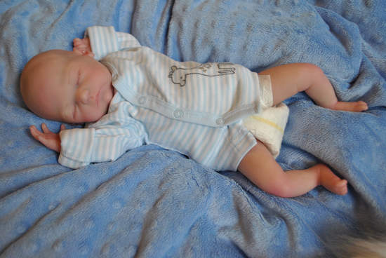 Addie by Sprung from Neverland Reborns on Reborns