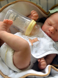 Sprung from Neverland Reborns - Reborns and Reborn Baby Dolls