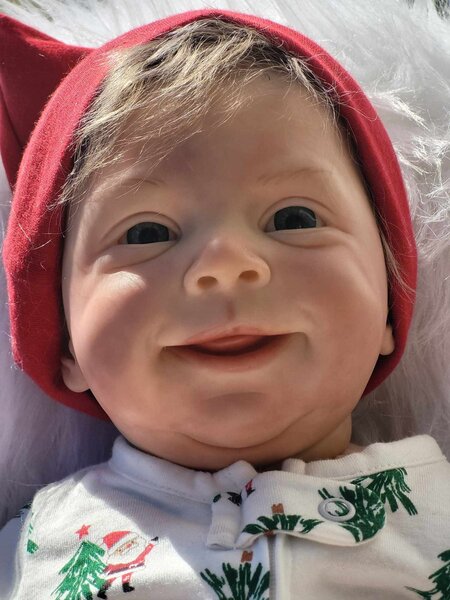 Sebastian by Belinda Woldruff from True Expressions Doll Studio on Reborns