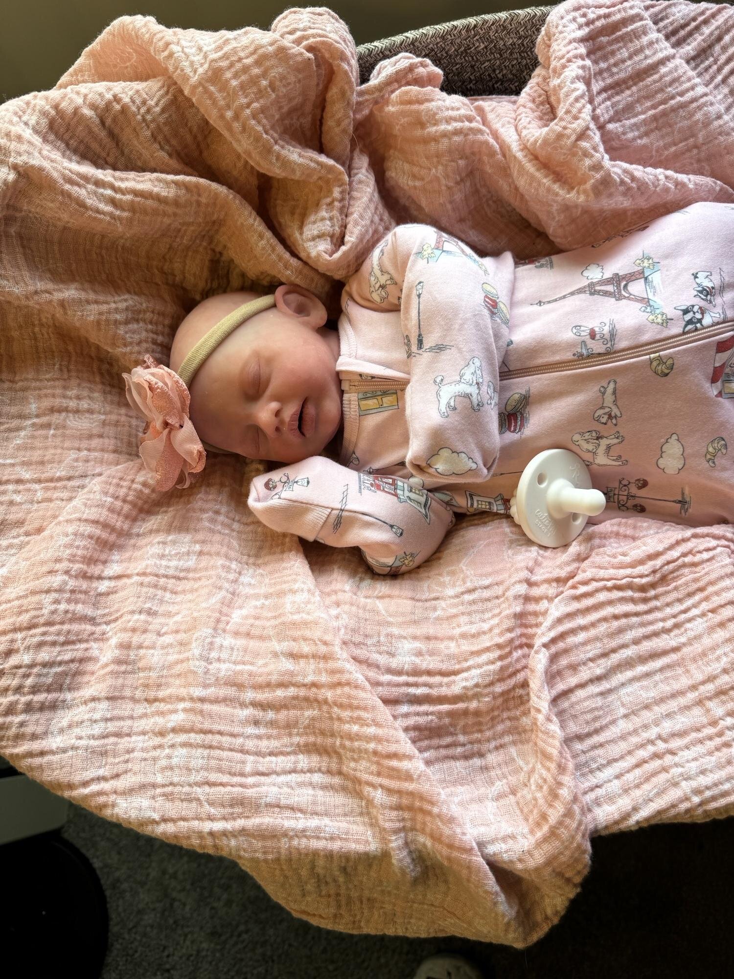 Hayden by Caroline Heuss from Drea Holman on Reborns