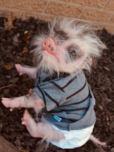 Reborn Dolls and Lifelike Baby Dolls - Reborns.com