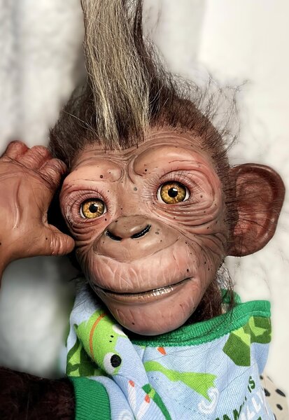 Milo by Krista Jordan from Prairie Alternative Reborns on Reborns