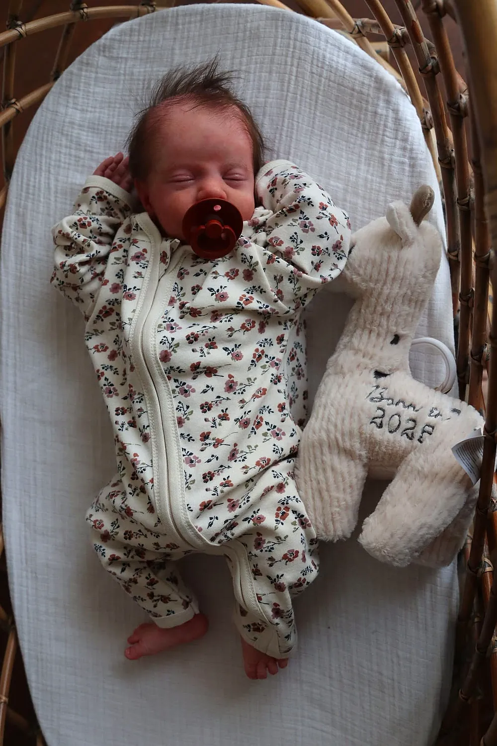 Alyssa Prototype Reborn Baby Doll by Daniela Ardelean | In Love With ...