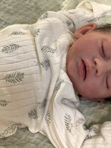 Reborn Dolls and Lifelike Baby Dolls