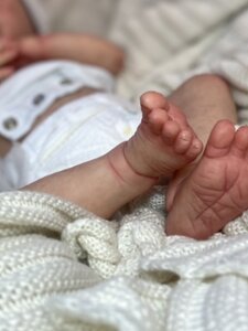 Reborn Dolls and Lifelike Baby Dolls