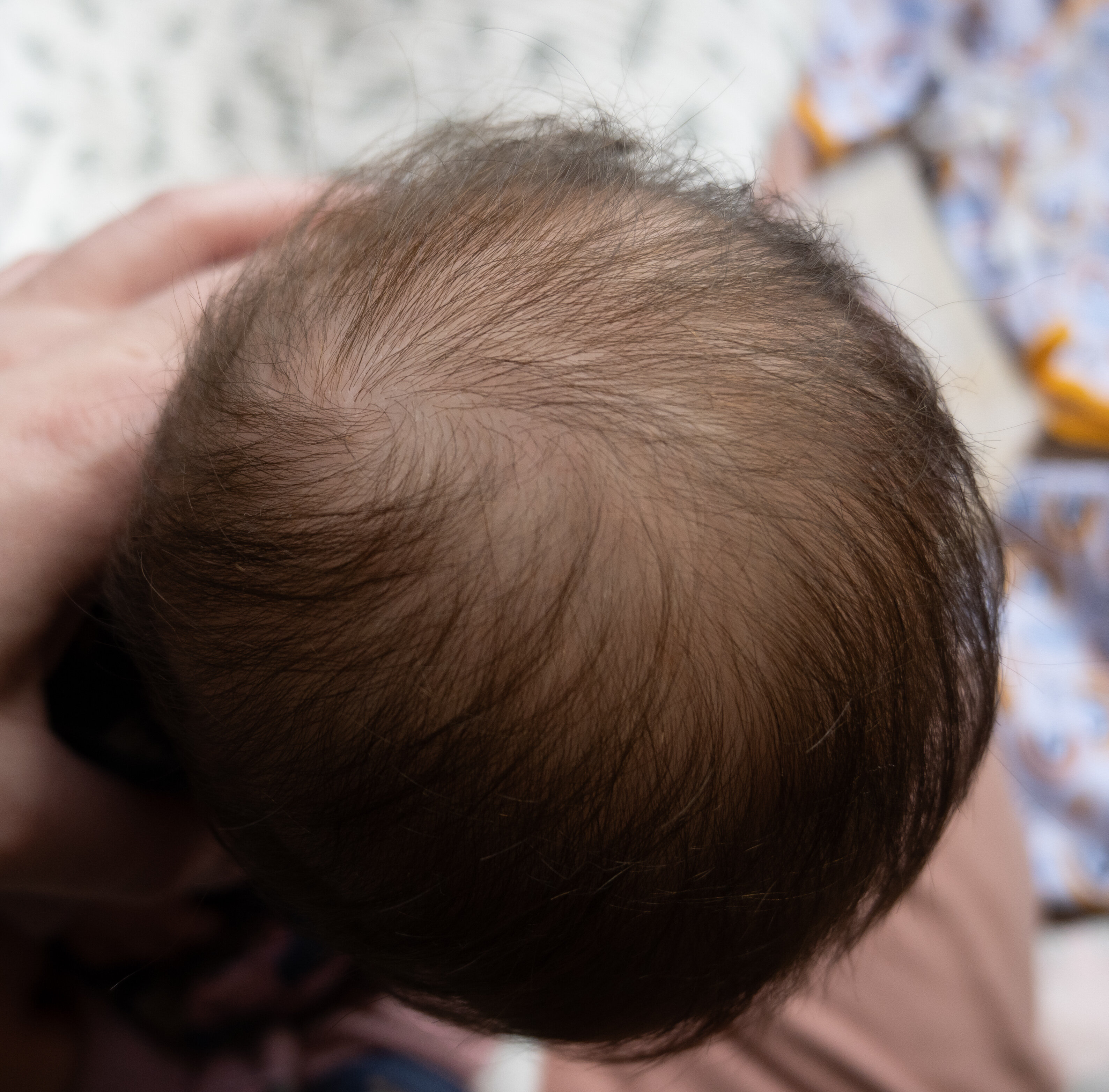 by Pixie Dixie Dolls from Morgan Barksdale on Reborns