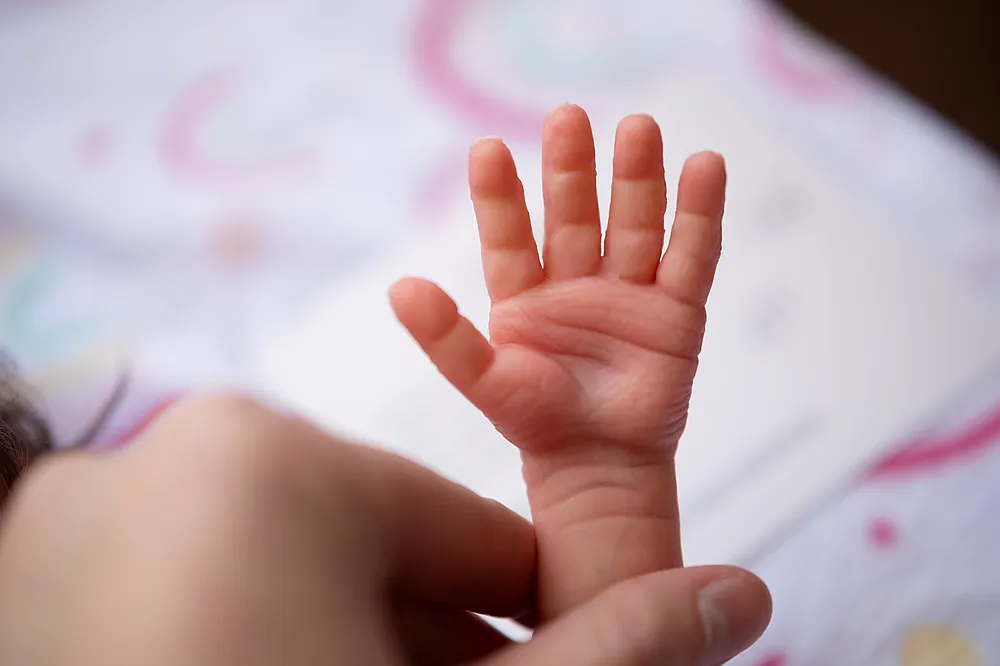 Lelou Twins pre-owned boo boo silicone reborn doll (sold) by Living ...